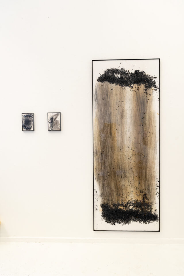 Laura Killer - Sunday-S Gallery